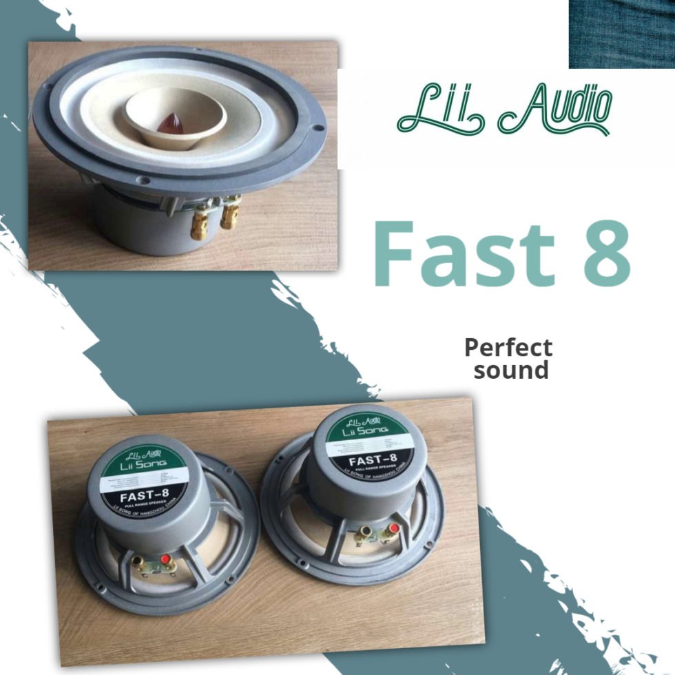Fast 8 (1 pair – 2 units) | Lii Audio Europe