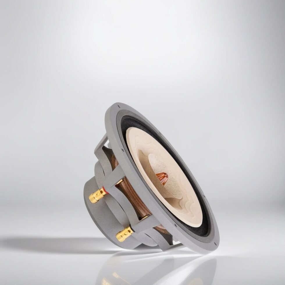 Lii Audio Europe | Lii Song - Feel your music nearest